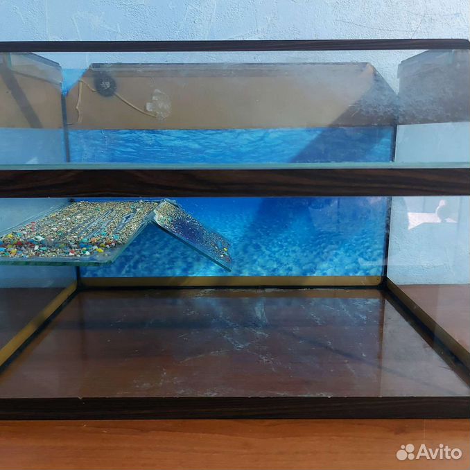 Акватеррариум для черепах