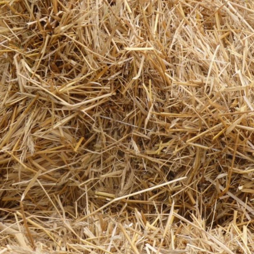 Подстилка для собак