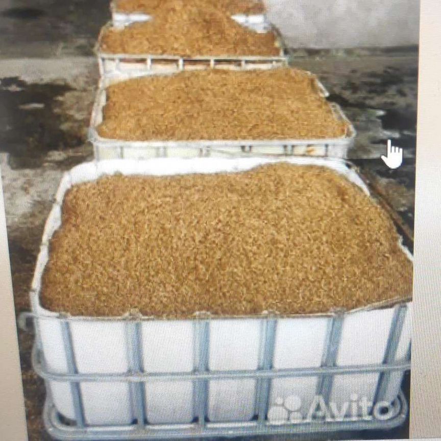 Пивная дробина