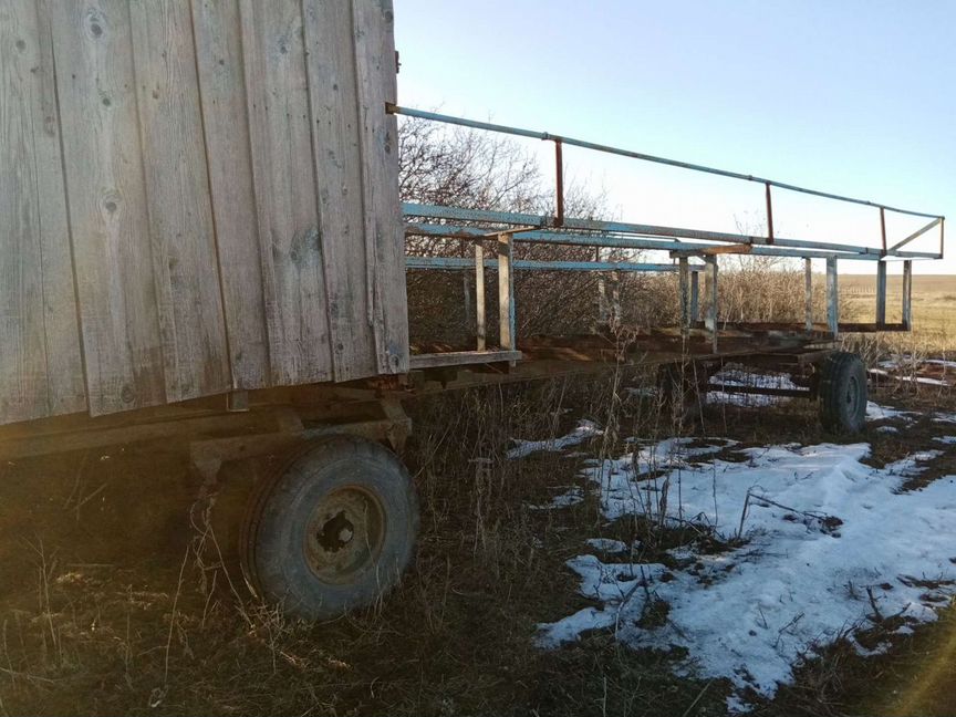 Пасика 2птс4