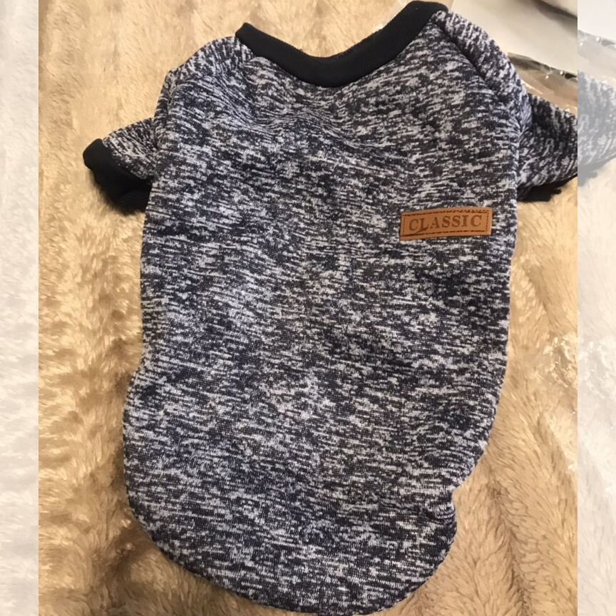 Одежда для собак