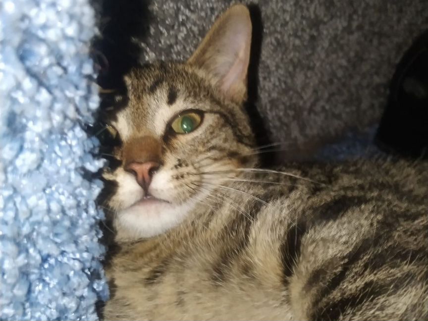 Мальчик и девочка 4,5 мес