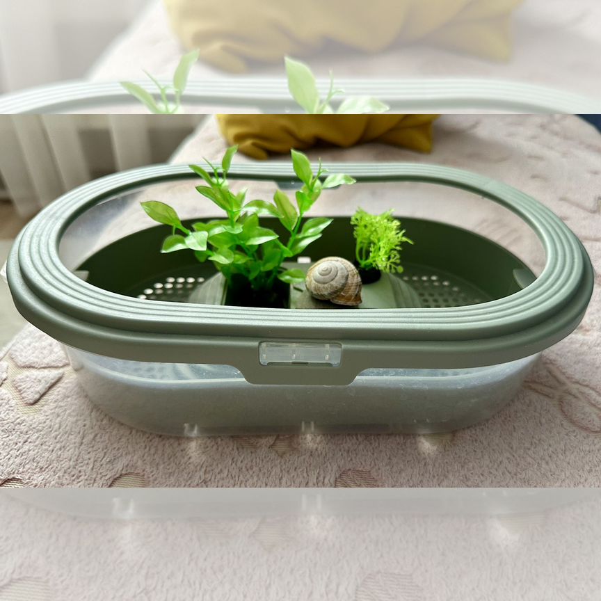 Аквариум для красноухой черепахи