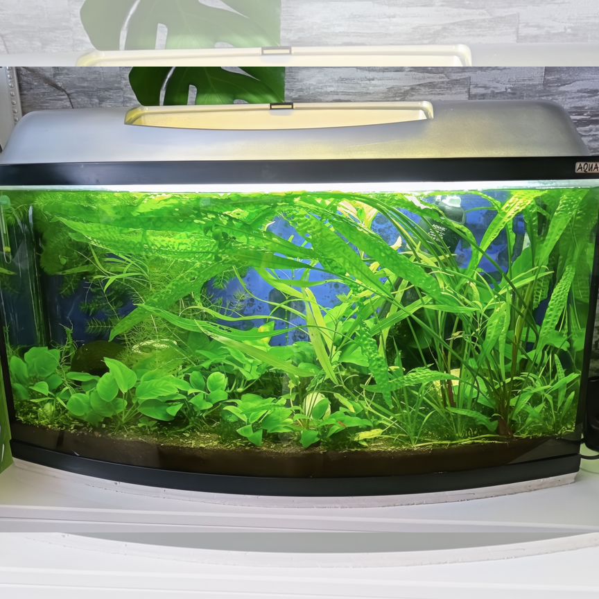 Аквариум aquael 150 литров