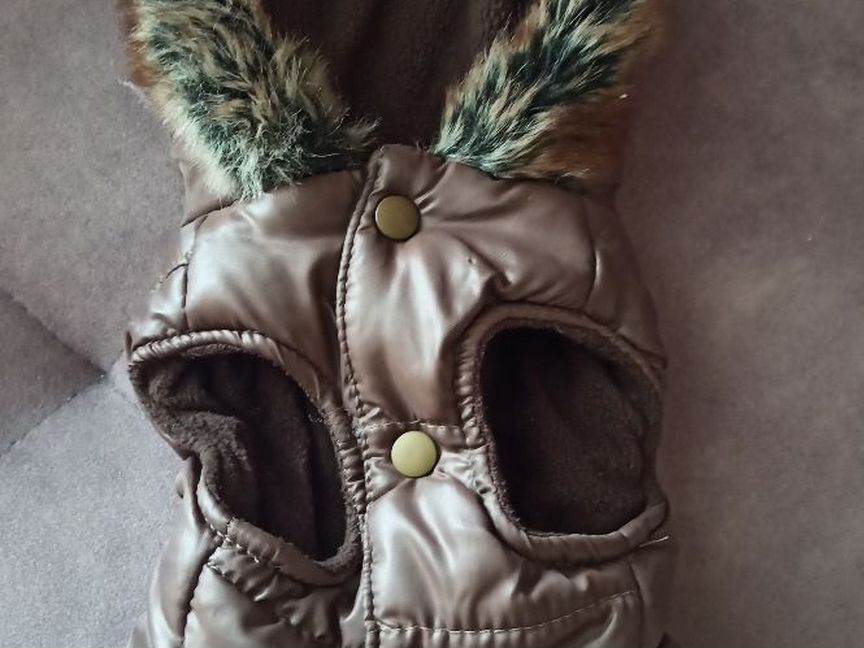 Одежда для маленьких пород собак