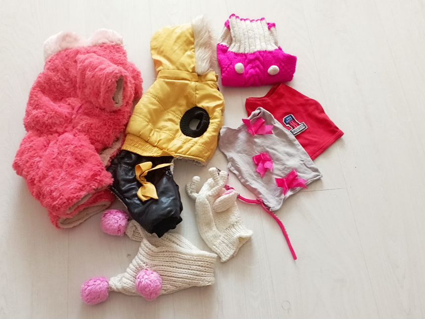 Вещи пакетом для собаки той терьера