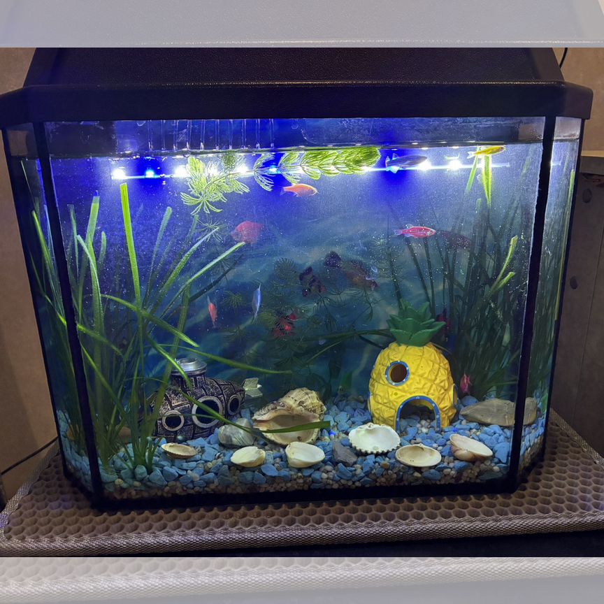 Аувариум для рыбок 20л