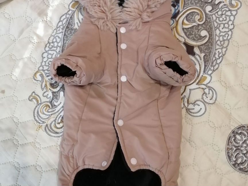 Royal dog зимний комбенезон