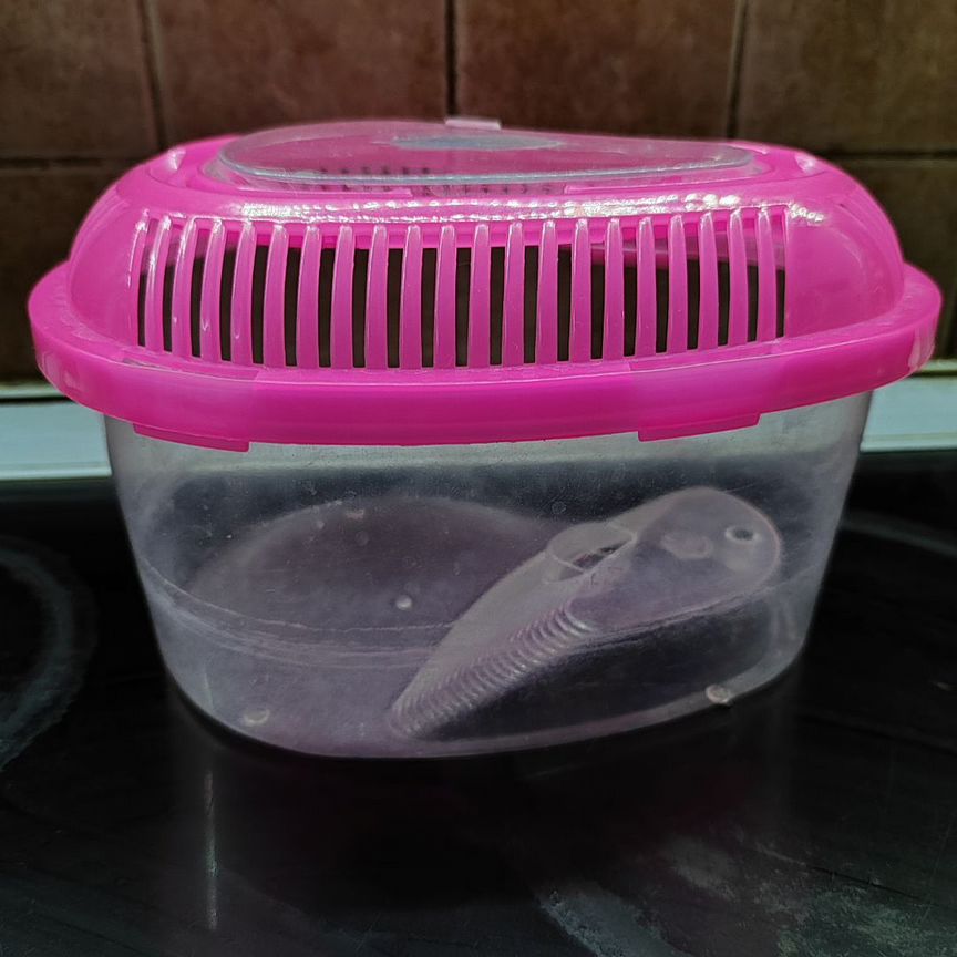 Переноска отсадник для рыб и черепах