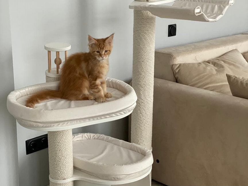 Когтеточка домик для кошки