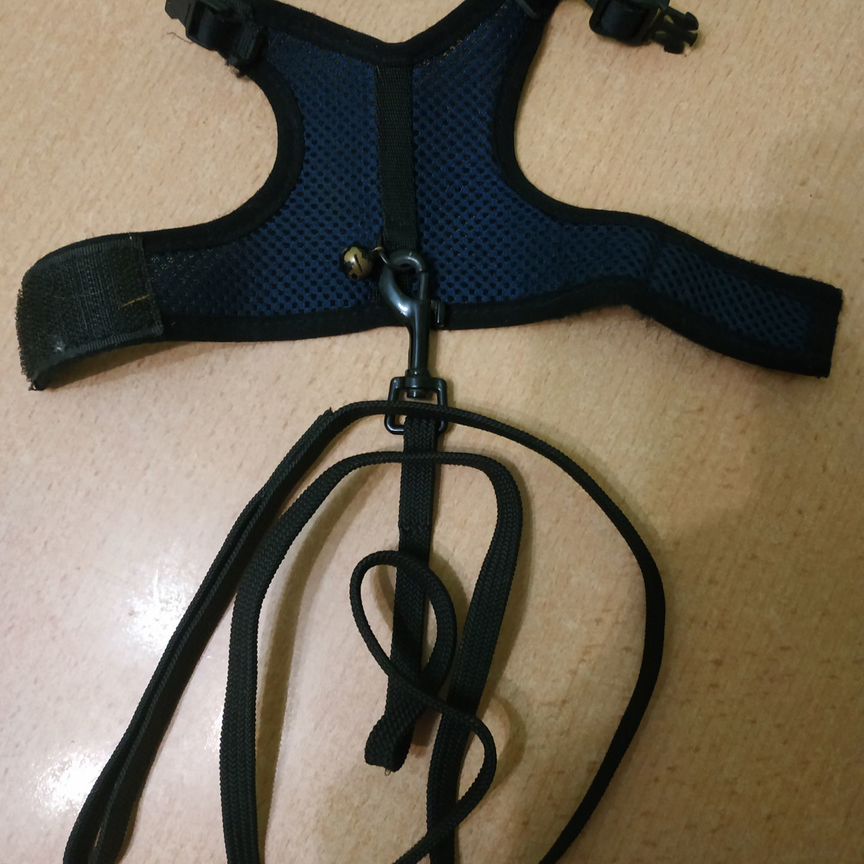 Шлейка для хорька