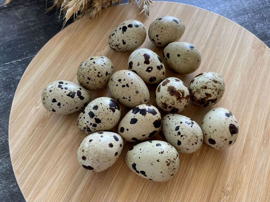 Яйцо перепелиное инкубационное