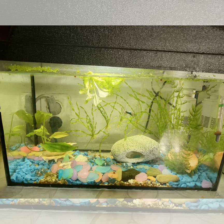 Аквариум 20л