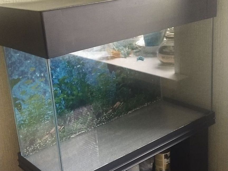 Аквариум на 70 литров