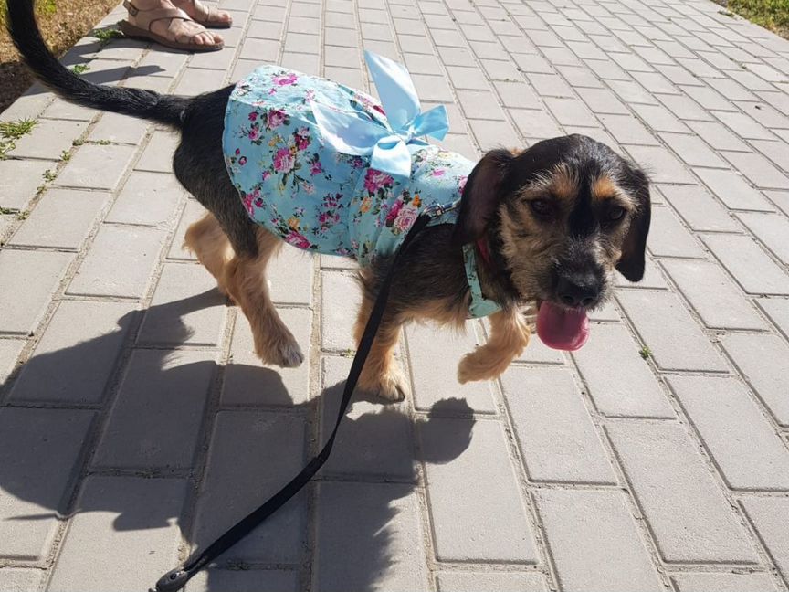 Срочный поиск дома