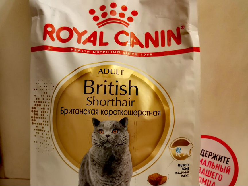 Royal canin british shorthair 2кг