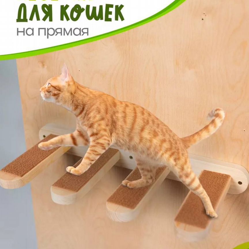 Лесенка для кошек