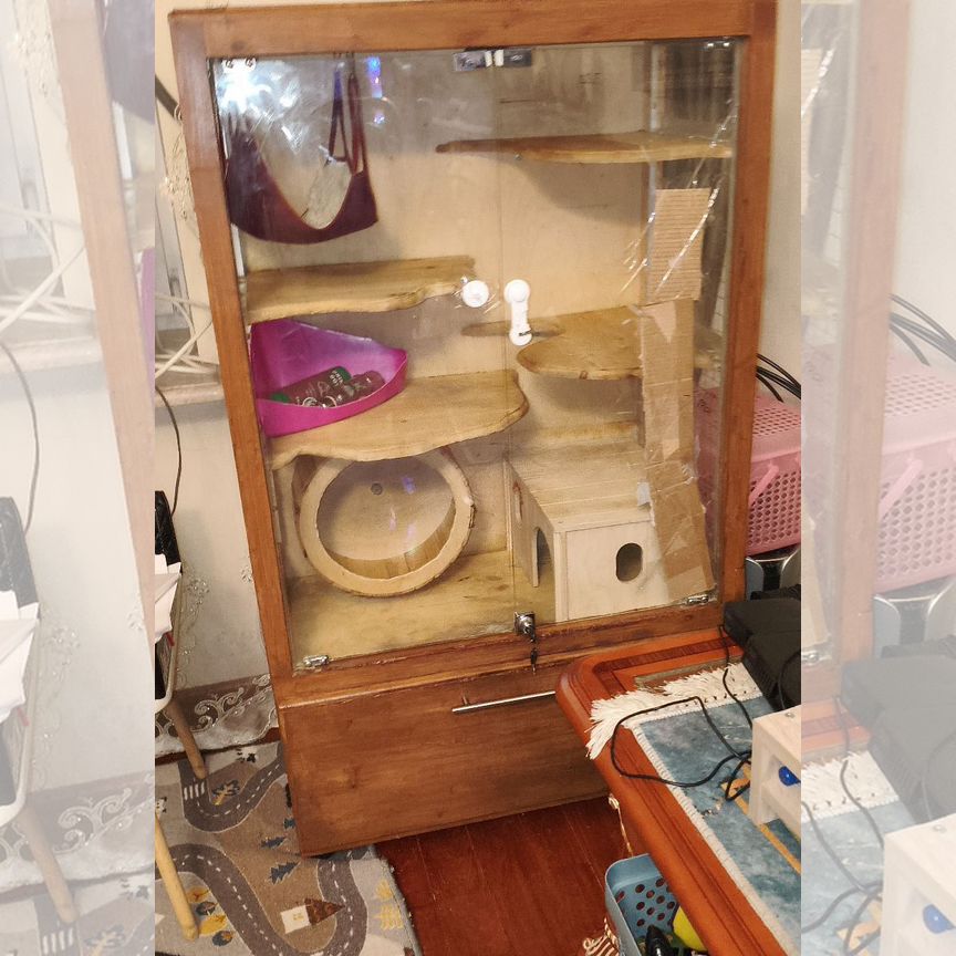 Витрина для шиншилл