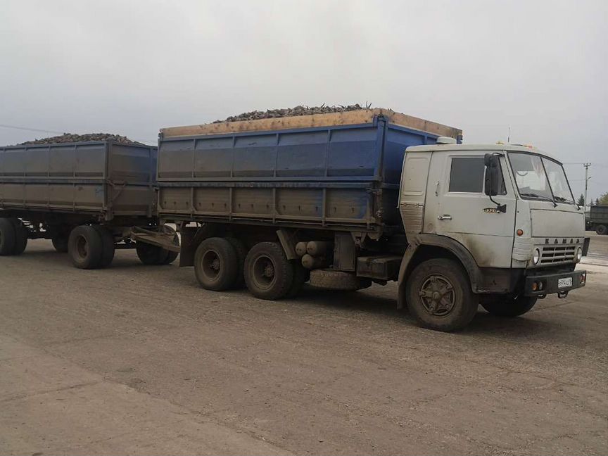 Жом свёкловичный