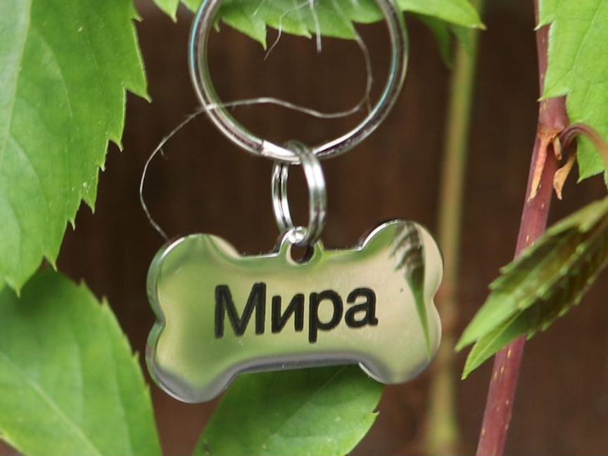 Адресник из нержавеющей стали с гравировкой
