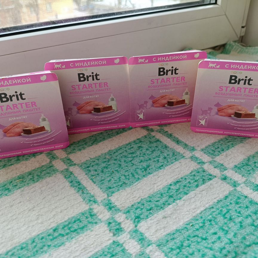 Продам корм влажный для котят и кошек