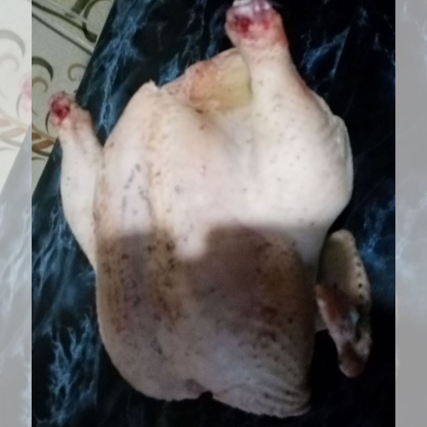 Мясо домашнего бройлера