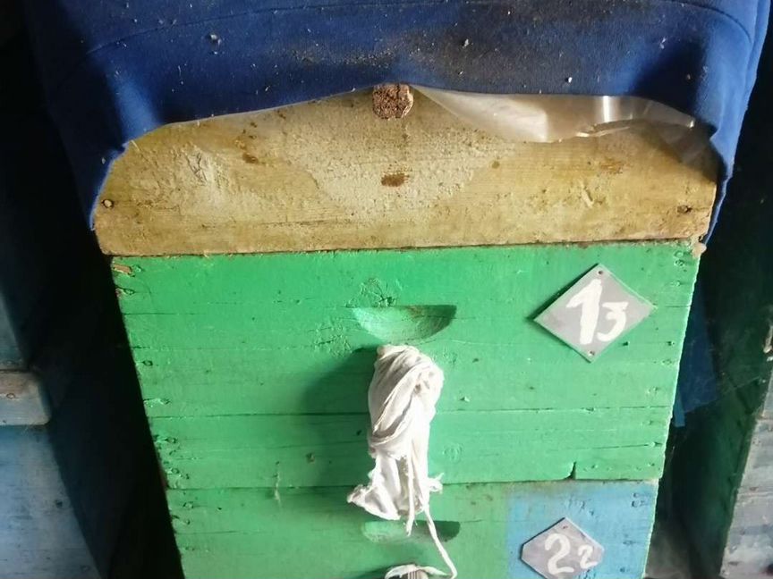 Продам ульи для пчел