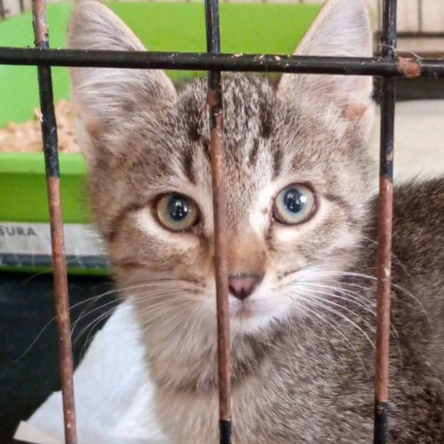 Жду родителей 2.5 мес