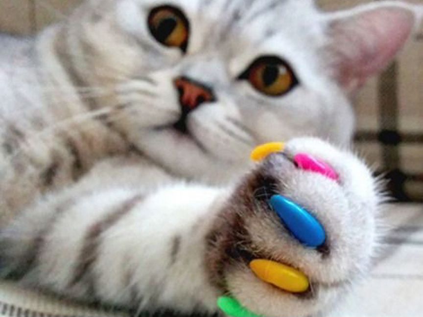 Колпачки "Антицарапки"