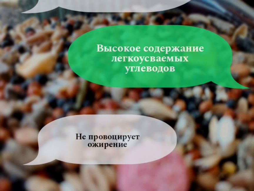 Корм для грызунов