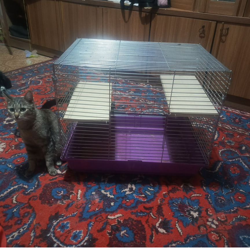 Клетка для грызунов большая