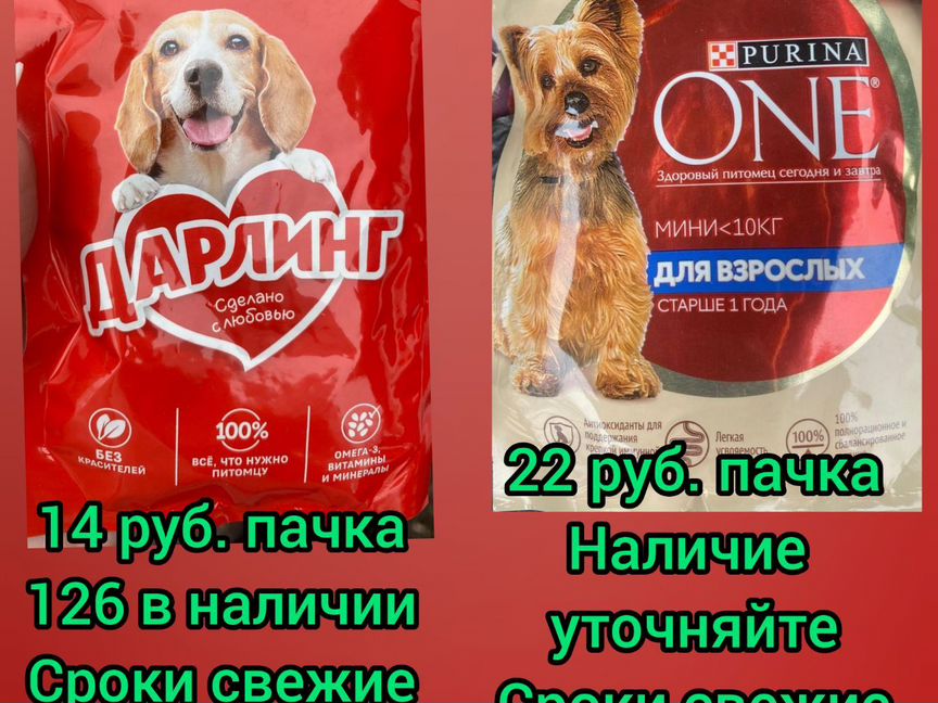Корм для собак влажный