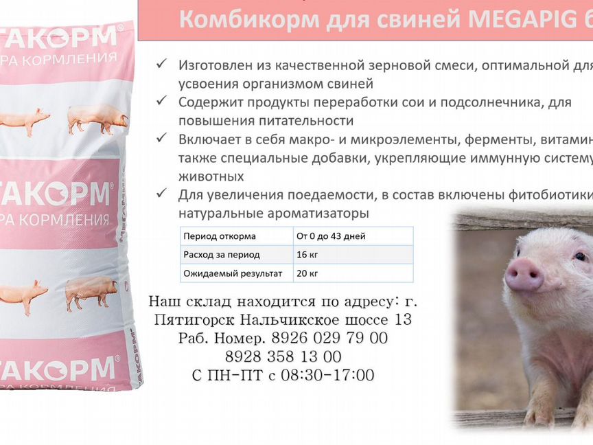 Престартер для поросят, комбикорм MegaPig