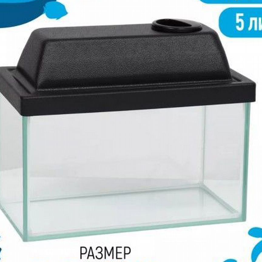 Аквариум для рыб