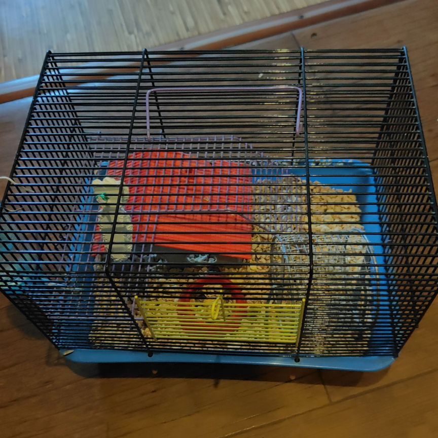 Клетка для грызунов бесплатно