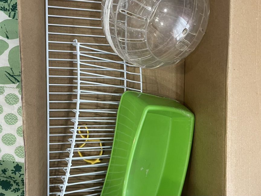 Вещи для хомяка