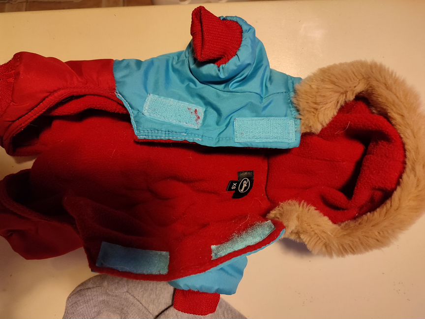 Продам вещи для собак (мини пород)