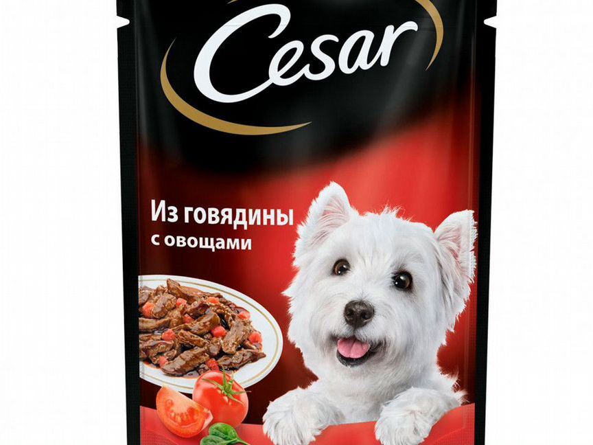 Корм для кошек и собак