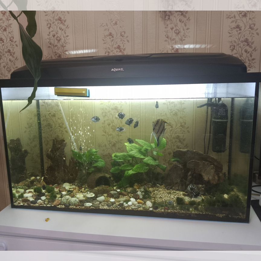 Аквариум 120л