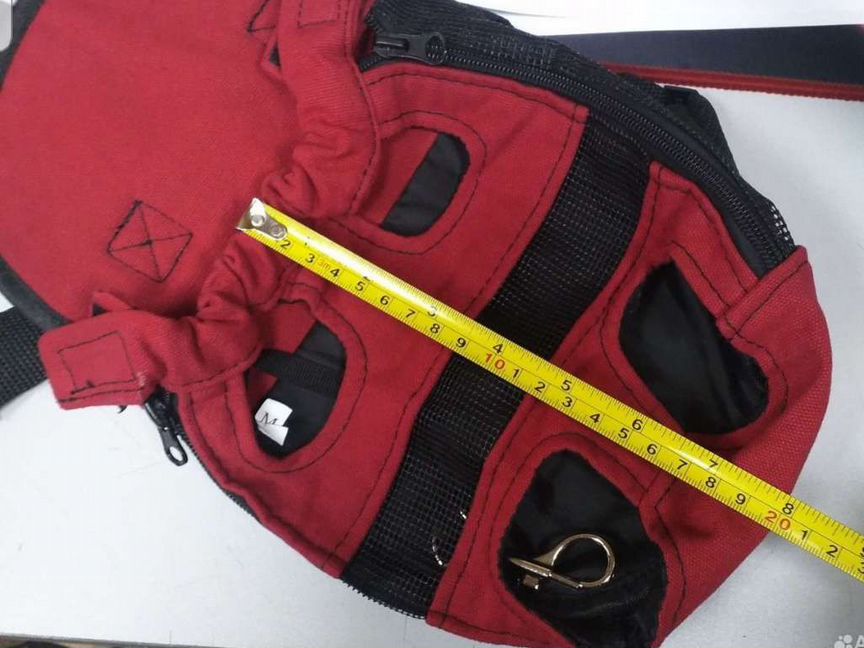 Ошейник с поводком, переноска, носочки для собачек