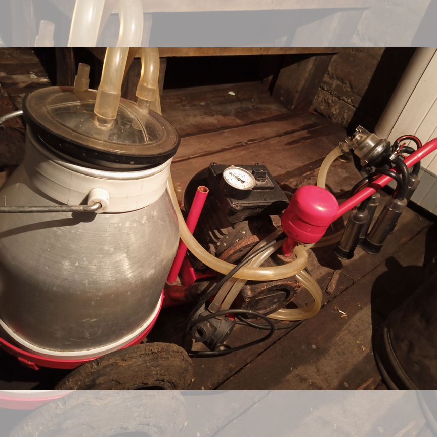 Доильный аппарат для коров