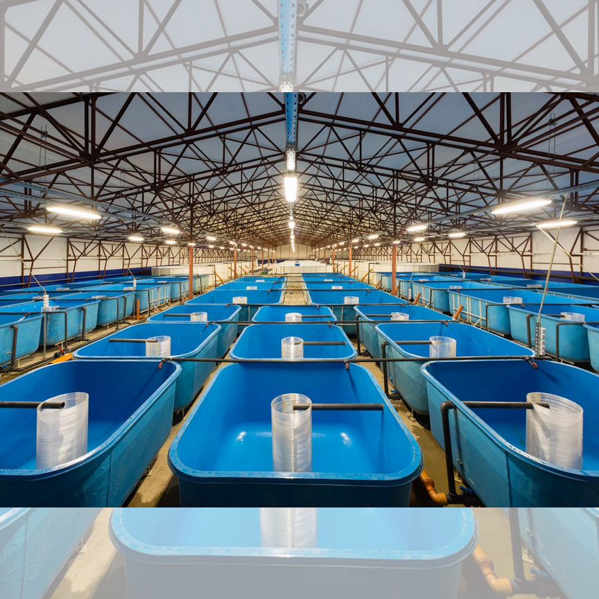 Узв для разведения рыбы