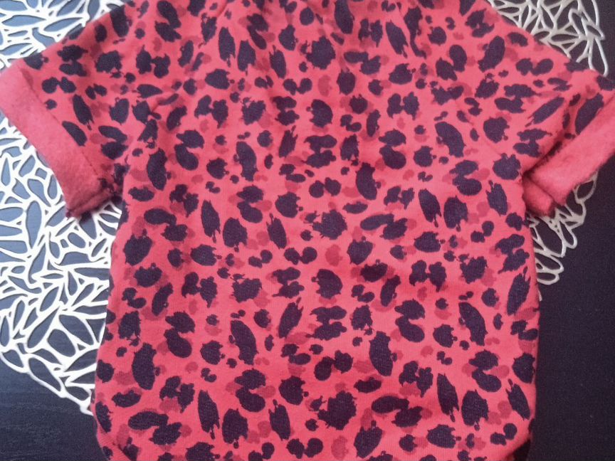 Кофта на собачку