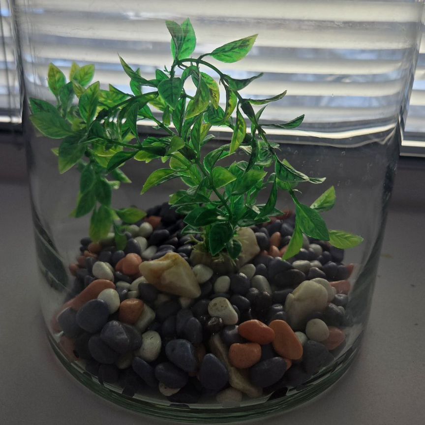 Аквариум 5 литров