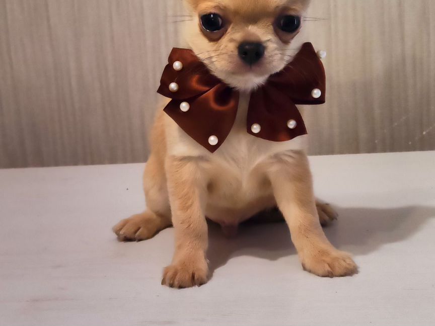 Клёвые маль чишки