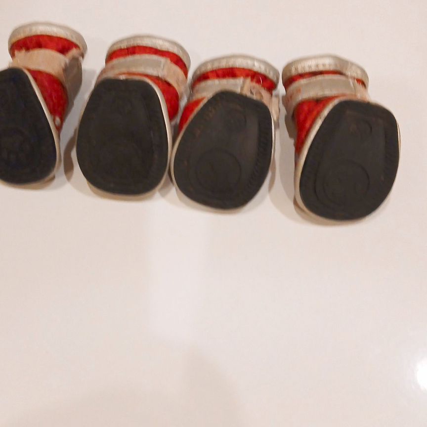 Обувь для животвых