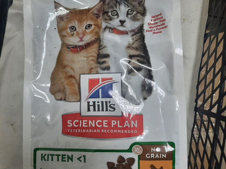 Корм для котят, просрочка