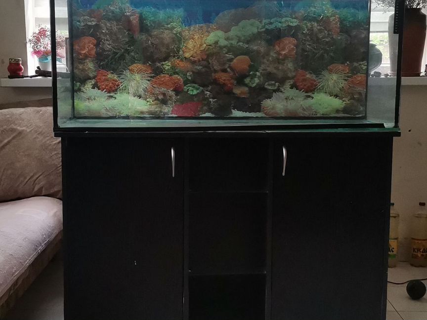 Аквариум с тумбой бу