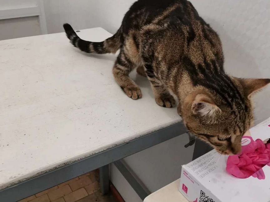 Брюс бездомничал на улице