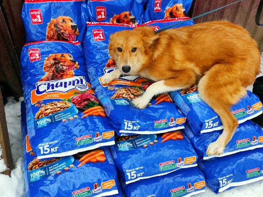 Корм сухой Chappi(Чаппи) 15 кг